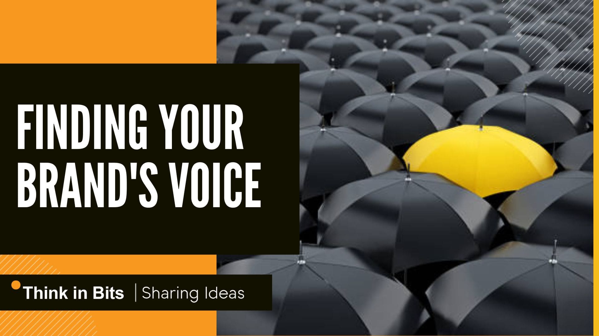 Finding Your Brand's Voice: Stand Out in the Crowd